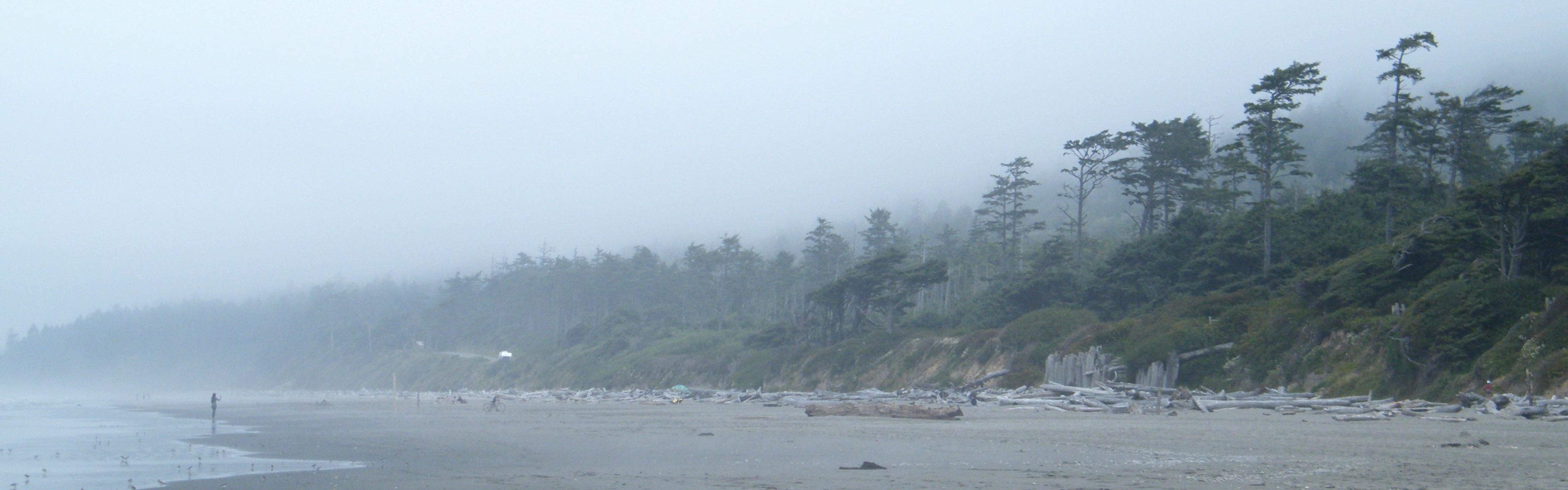 AAL-header – Amanda Ann Larson